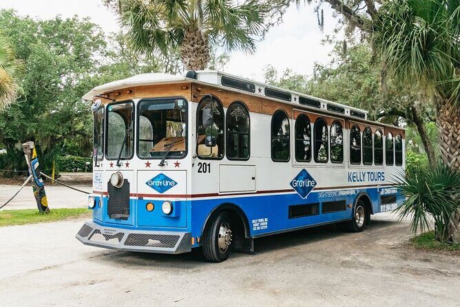 Savannah to Tybee Island with Dolphin Cruise - Authentic Experiences and Honest Critiques