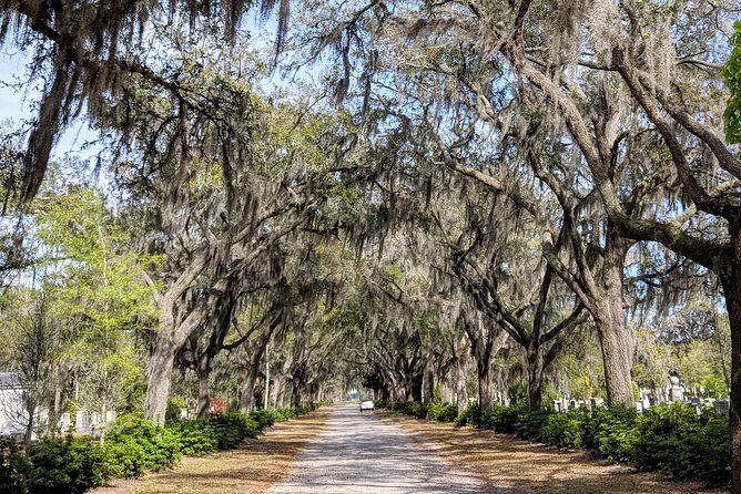 Savannah VIP Tour: Private Full-Day Tour - FAQ