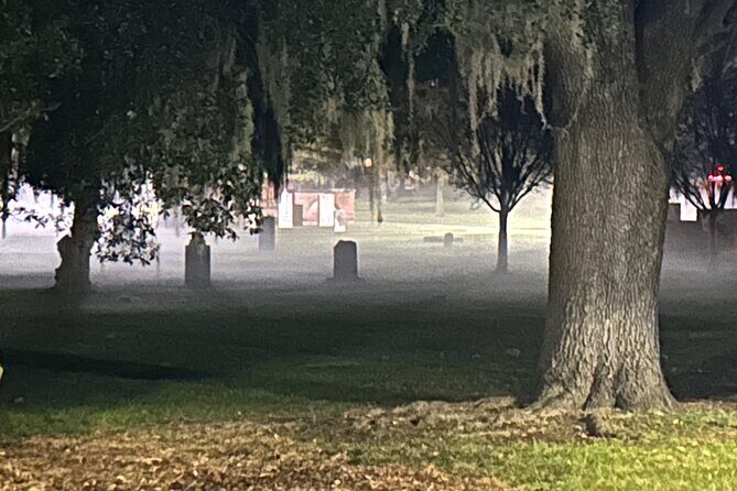 Savannah's Original Dark History Tour - Who Will Appreciate This Tour?