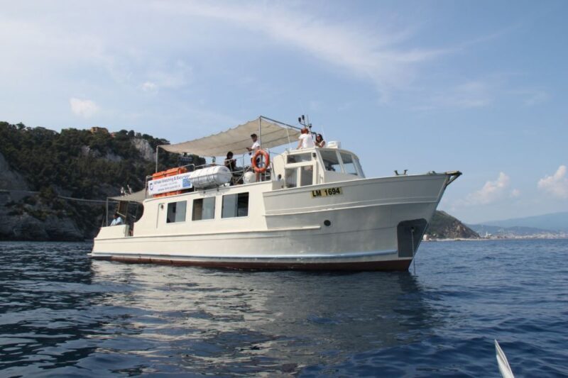 Savona: Pelagos Sanctuary Wildlife Cruise with Guide - Final Thoughts