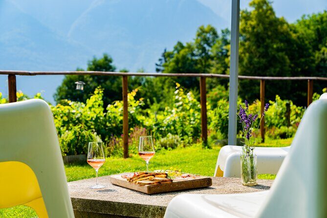 Savor Ossola Wines & Local Treats in a Scenic Vineyard - The Experience of Savoring Ossola Wines & Local Treats