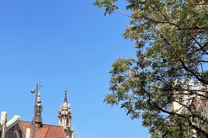 Savor Spain: Your Ultimate Tapas Tour Guide - FAQ