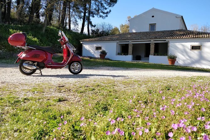Savour The Flavors Of Corfu Vespa Scooter Tour - In-Depth Look at the Features and Practicalities