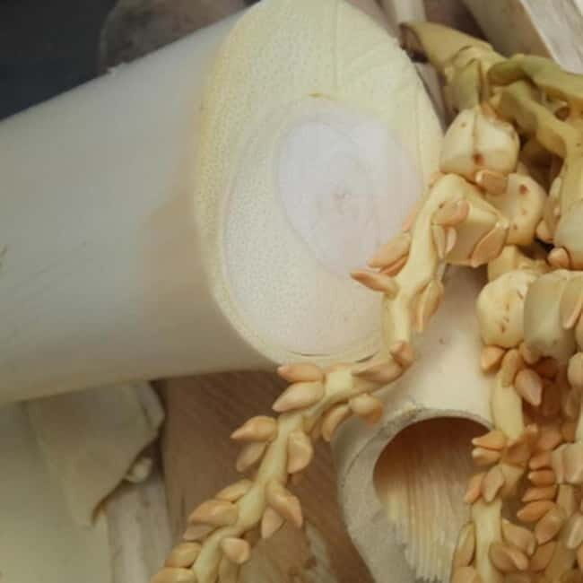 Savouring Madurai: Private Street Food Tour of Madurai ! - An In-Depth Look at the Itinerary