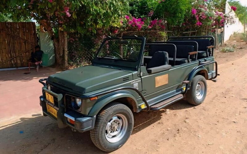 Sawai Madhopur: Ranthambore National Park Guided Jeep Safari - Who Should Skip This Tour?