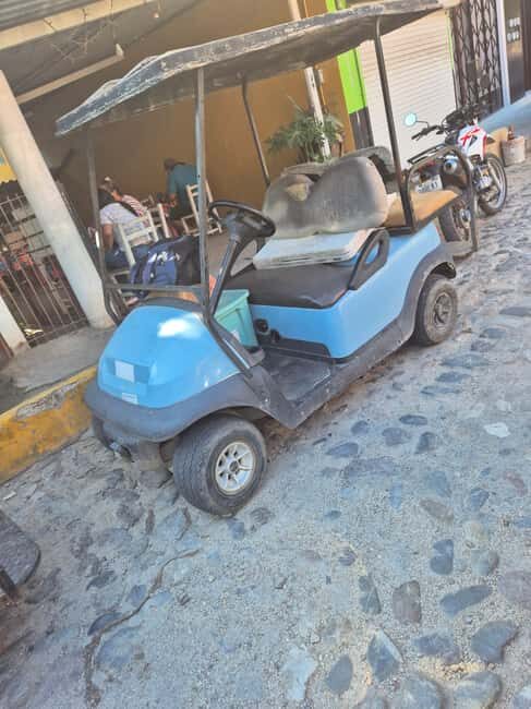 Sayulita: Electric Cart Rental - Why Choose the Electric Cart Rental in Sayulita?