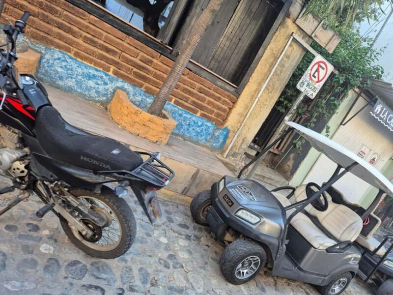 Sayulita: Electric Cart Rental - Who Will Benefit Most?