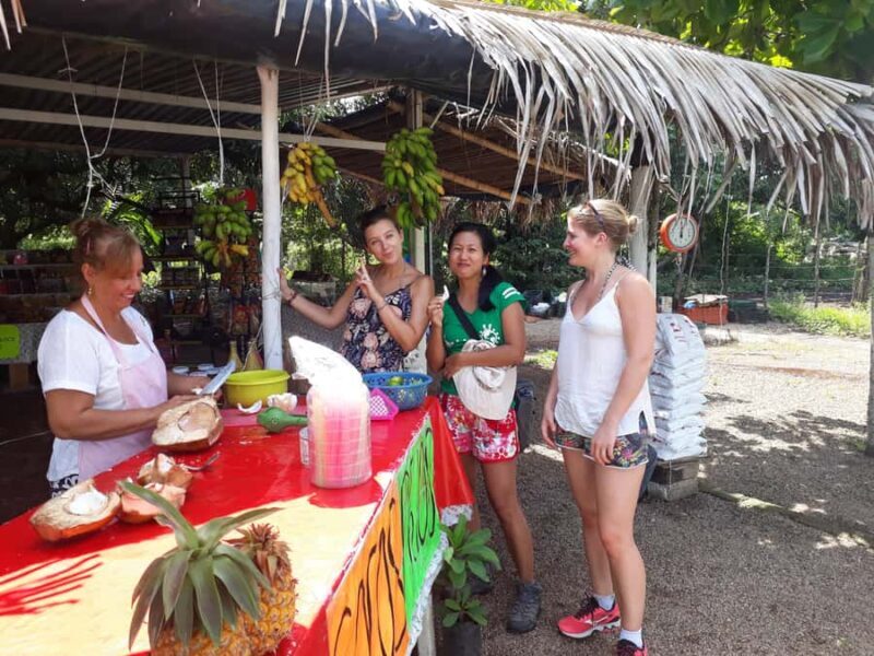 Sayulita: Petroglyphs Sacred Sanctuary Guided Experience - What to Expect at Each Stop