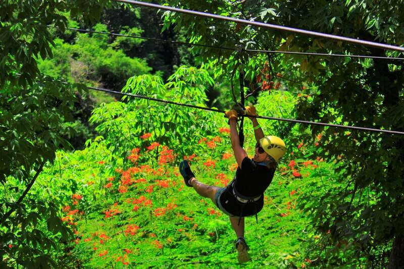Sayulita/Punta Mita: Zip Lines with Ocean View - Final Word