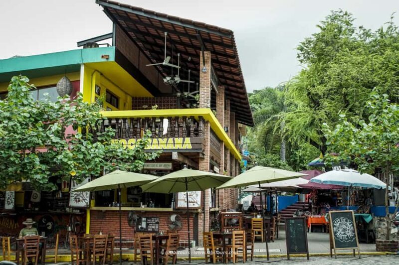 Sayulita & San Pancho: Private Trip from Puerto Vallarta - Introduction: A Charming Coastal Escape with Personal Touches