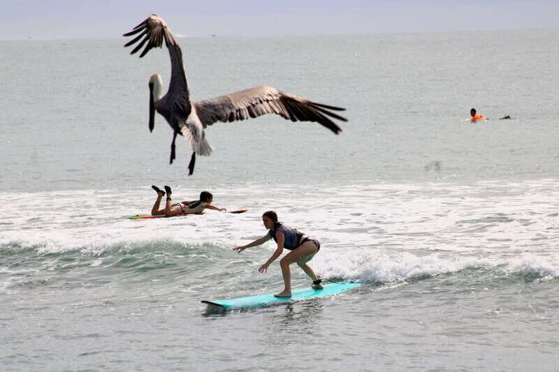 Sayulita: Surf Lessons for Beginner/Intermediate/ Advance - The Itinerary in Detail