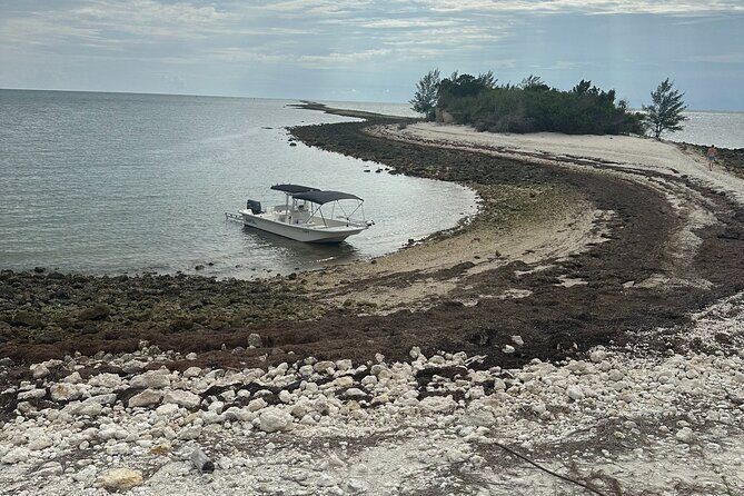 Scalloping Charters - FAQ