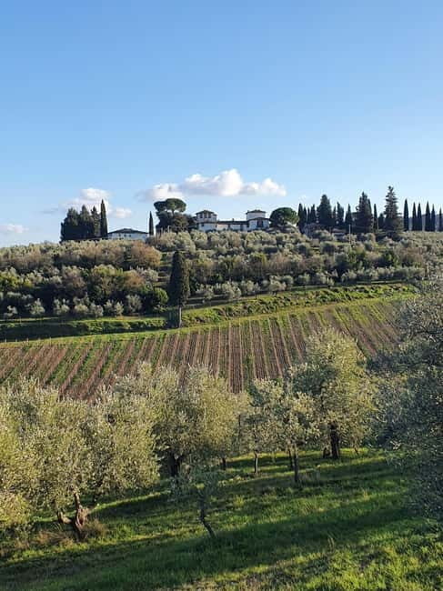 Scandicci: Bellavista Wine Tasting Experience - Key Points