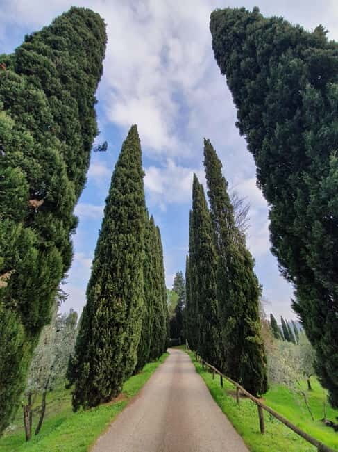 Scandicci: Bellavista Wine Tasting Experience - A Deep Dive into the Bellavista Tour