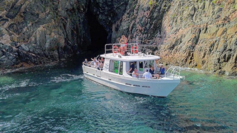 Scandola: visit the nature reserve from Porto (France) - Key Points