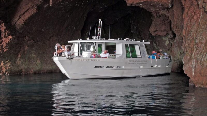 Scandola: visit the nature reserve from Porto (France) - The Sum Up
