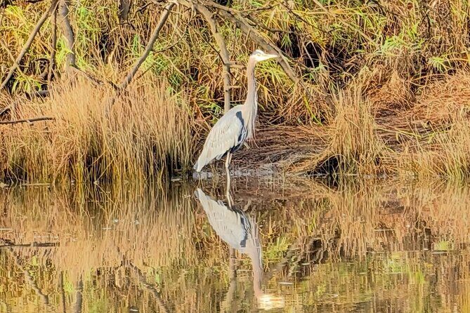 Scappoose Bay Kayak Adventure Private tour - An In-Depth Look at the Tour Experience