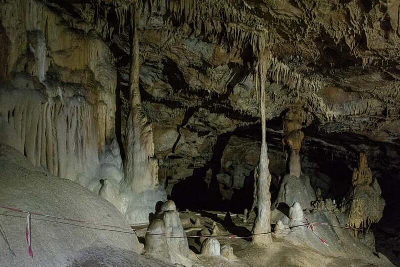 Scarisoara-World greatest Ice cave: one day tour from Oradea - Who Should Consider This Tour?