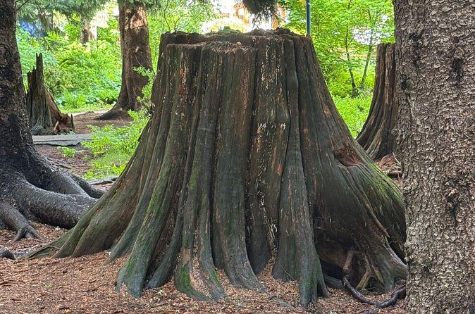 Scavenger Hunt Adventure with Geocaching in Whistler - Final Thoughts