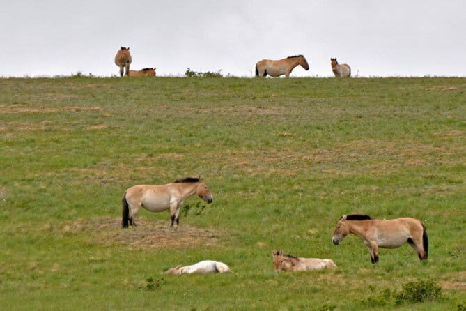 Scenes of National Parks - How This Tour Adds Value
