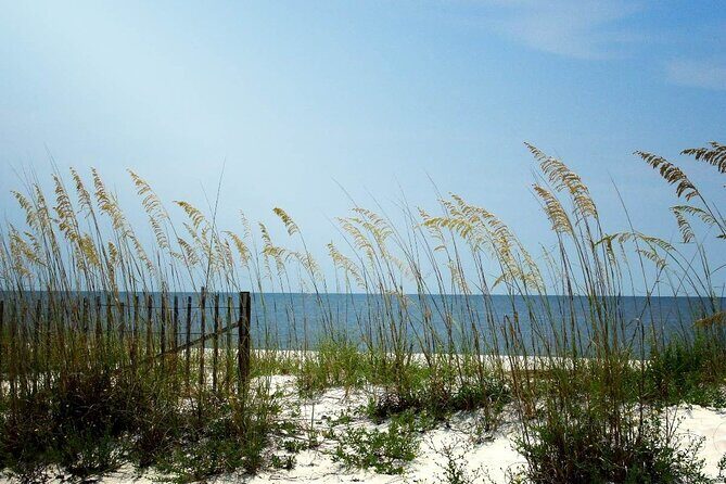 Scenic A1A Byway Self Guided Driving Audio Tour - The Sum Up