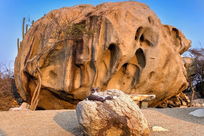 Scenic Aruba Self-Guided Driving and Walking Audio Tour - Who Should Consider This Tour?