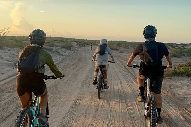 Scenic Bay Bike Ride Through Desert and Mangrove - Key Points