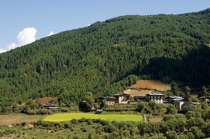 Scenic Bhutan Guided Multi-Day Tour with Airport Pickup - Who Should Consider This Tour?