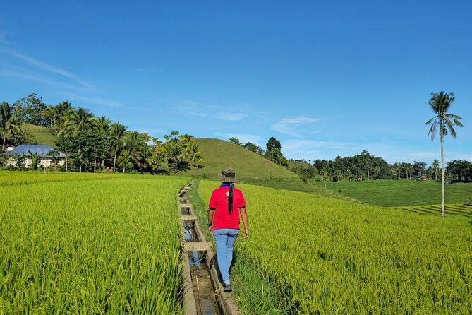 Scenic Bohol Candijay Tour with Private Driver-Guide - Authentic Experiences and Traveler Insights