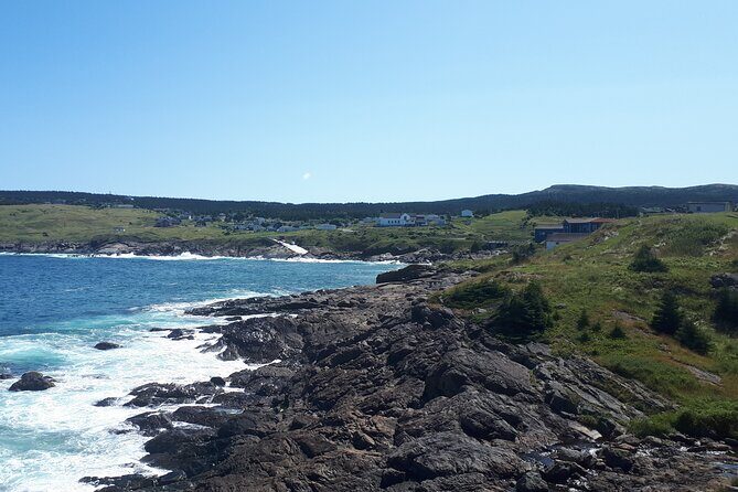 Scenic Bus Tour of the Northeast Avalon from St. John's - What to Expect from This Scenic Bus Tour