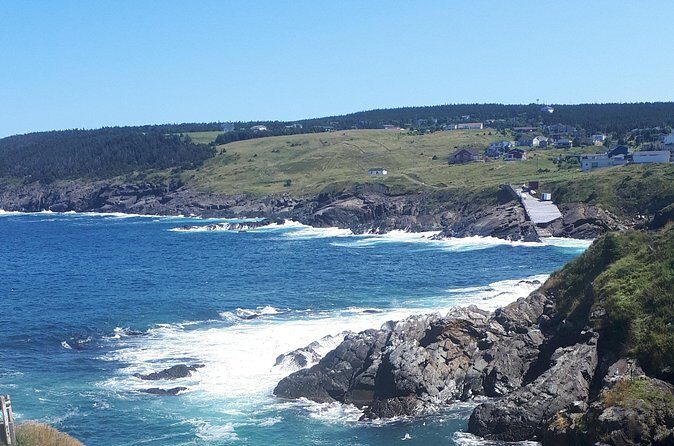 Scenic Bus Tour of the Northeast Avalon from St. John's - FAQ