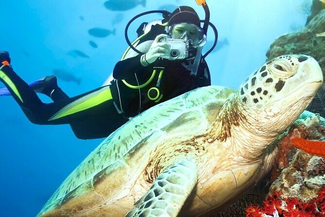 Scenic City Tour and Beach Escape - Who Should Consider This Tour?