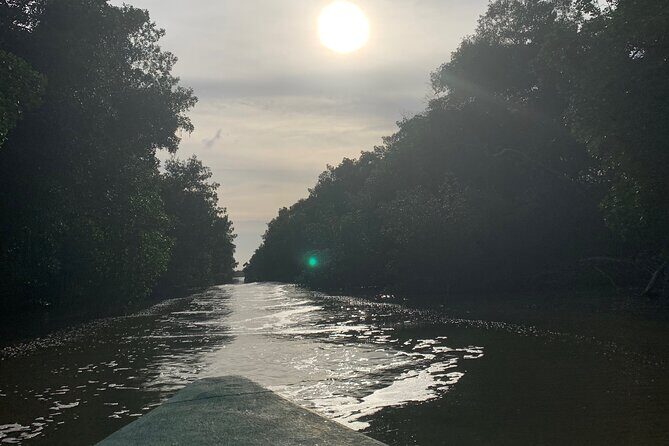 Scenic City Tour - Who Should Consider This Tour?