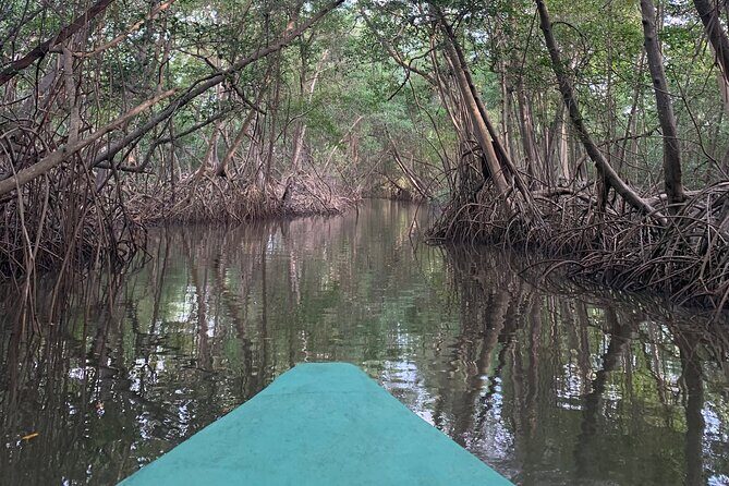 Scenic City Tour - FAQ