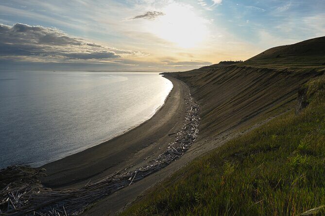Scenic Coast and Wildlife Tour - Introduction to the Tour