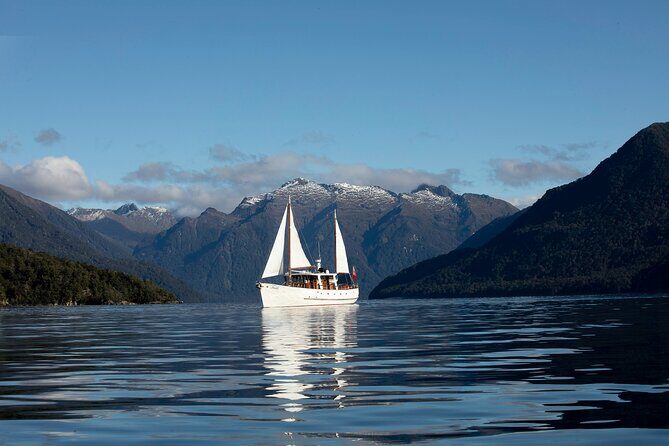 Scenic Cruise & Guided walk on Historic Motor Yacht Lake Te Anau - A Detailed Look at the Lake Te Anau Scenic Cruise Experience