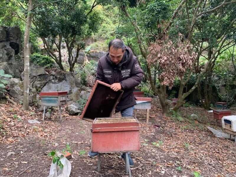 Scenic Cycling Loop Of Enchanting Cat Ba Island full day - Key Points