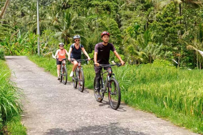Scenic Cycling Tours Through Bali's Sidemen Countryside - Cultural Stops and Temples
