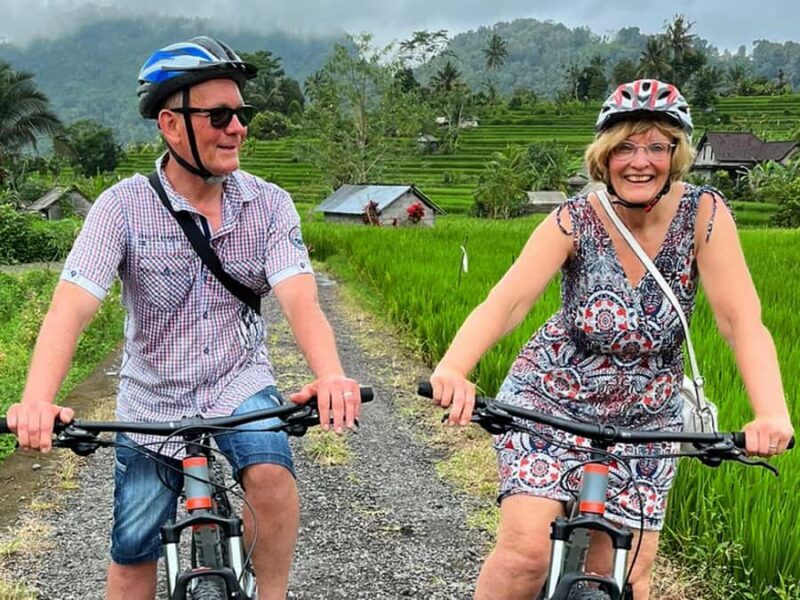 Scenic Cycling Tours Through Bali's Sidemen Countryside - Living Local with Crafts and Coffee