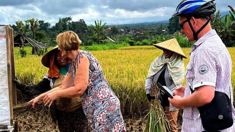 Scenic Cycling Tours Through Bali's Sidemen Countryside - Tour Logistics and Practical Details