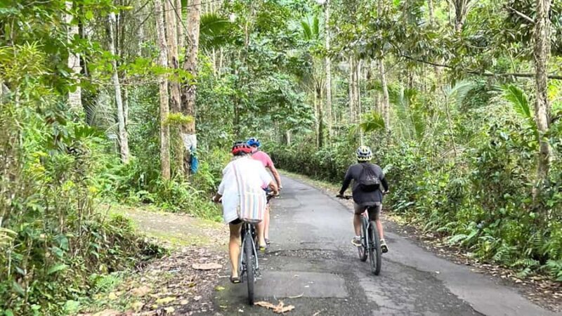 Scenic Cycling Tours Through Bali's Sidemen Countryside - Who Will Love This Tour?