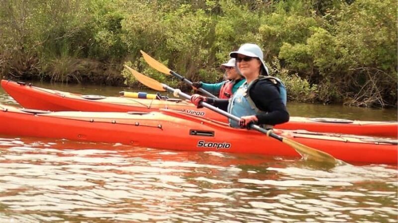 Scenic Double Bayou | TX Gulf Coast Wetlands Eco Tour - Key Points