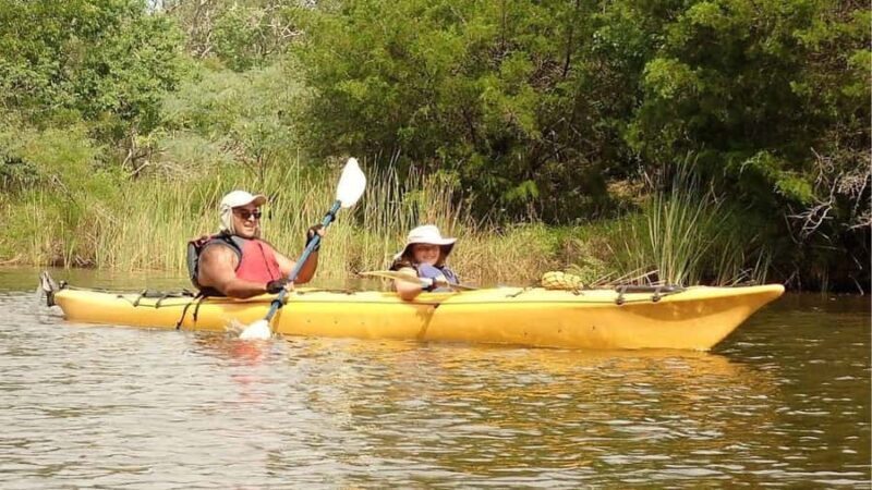 Scenic Double Bayou | TX Gulf Coast Wetlands Eco Tour - The Logistics: What You Need to Know