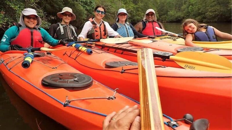 Scenic Double Bayou | TX Gulf Coast Wetlands Eco Tour - Who Will Love This Tour?