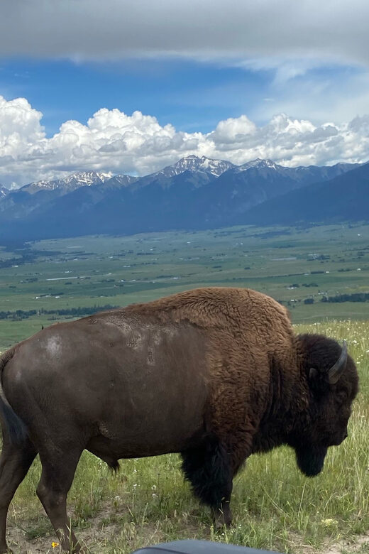 Scenic Driving Tour Flathead Lake and Bison Range - Who Will Enjoy This Tour?