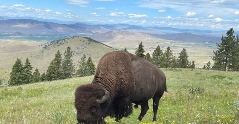Scenic Driving Tour Flathead Lake and Bison Range - Frequently Asked Questions