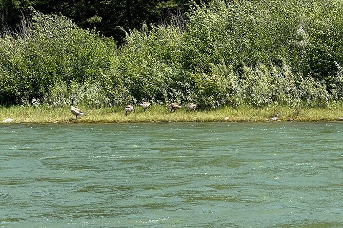 Scenic Float Trip on the Snake River in Grand Teton National Park - Summary
