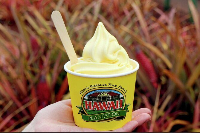 Scenic full day circle island tour-snorkeling/breakfast included - Who Will Love This Tour?