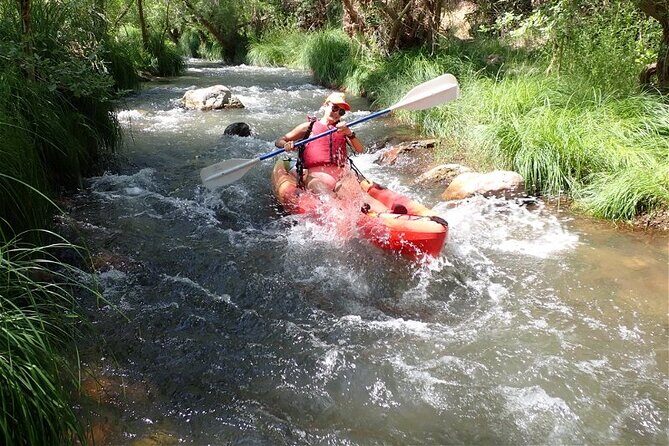 Scenic Guided Kayak Trip - Pricing and Value