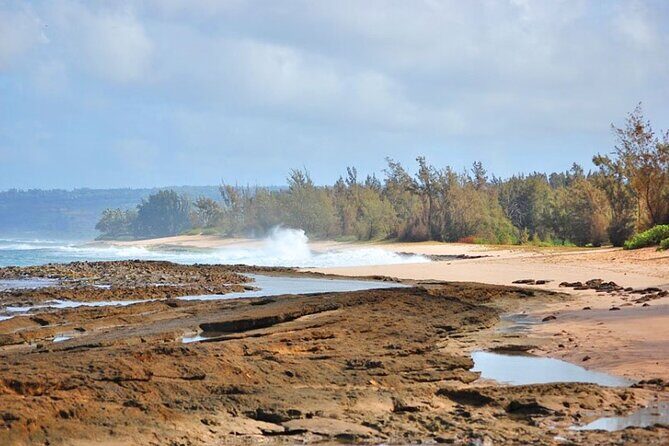 Scenic Half Day North Shore Tour Turtle Bay pickup only - Practical Considerations: What You Need to Know